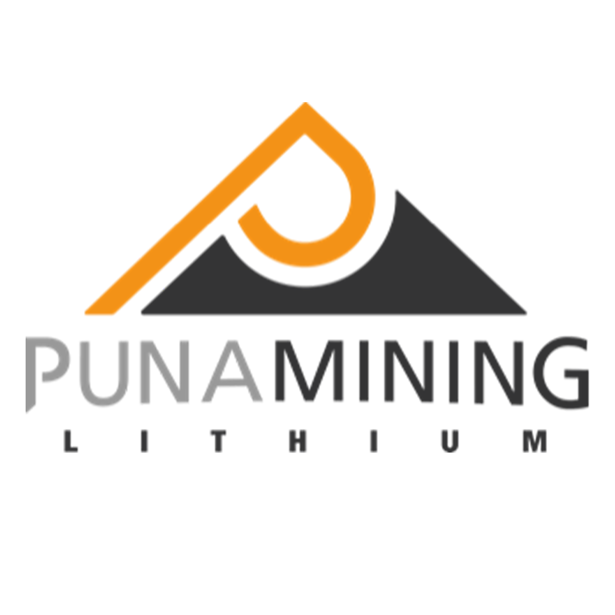 Puna Mining S.A. - Cámara de la Minería de Salta
